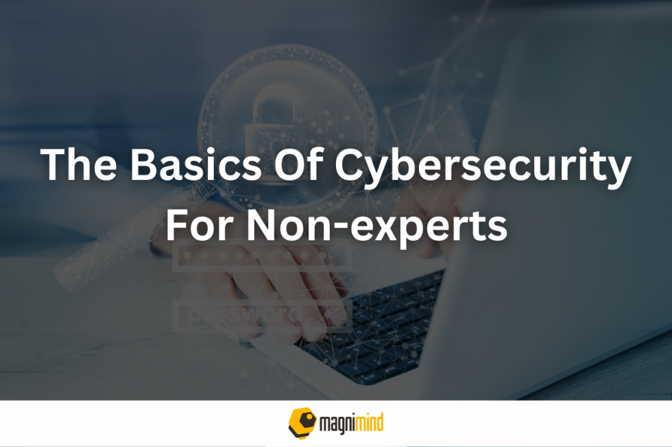 The Basics Of Cybersecurity For Non-experts - Magnimind Academy